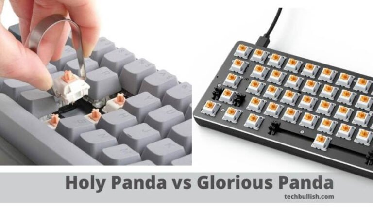Holy Panda vs Glorious Panda: Differences (What's Better?)
